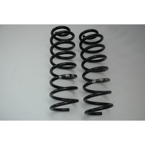 Porsche 993 Rear Coil Springs - Silver id 99333353119504